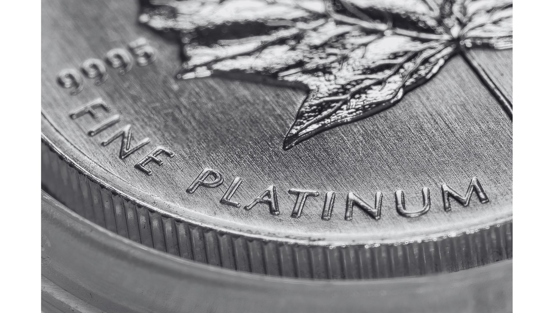 Cours du platine sur 20 ans : historique et facteurs de hausse
